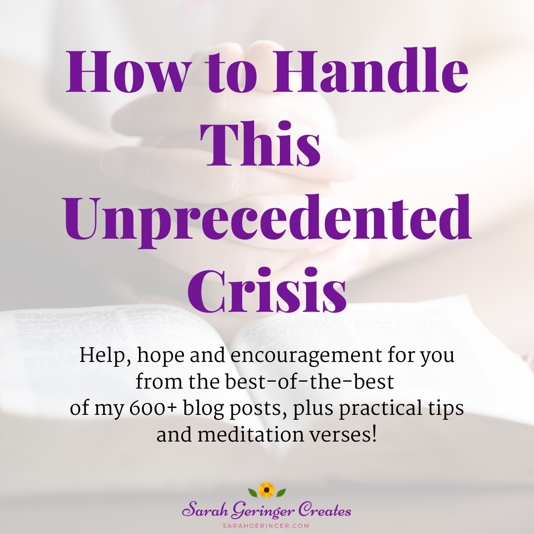 How to Handle This Unprecedented Crisis - Sarah Geringer How to Handle This Unprecedented Crisis - Sarah Geringer