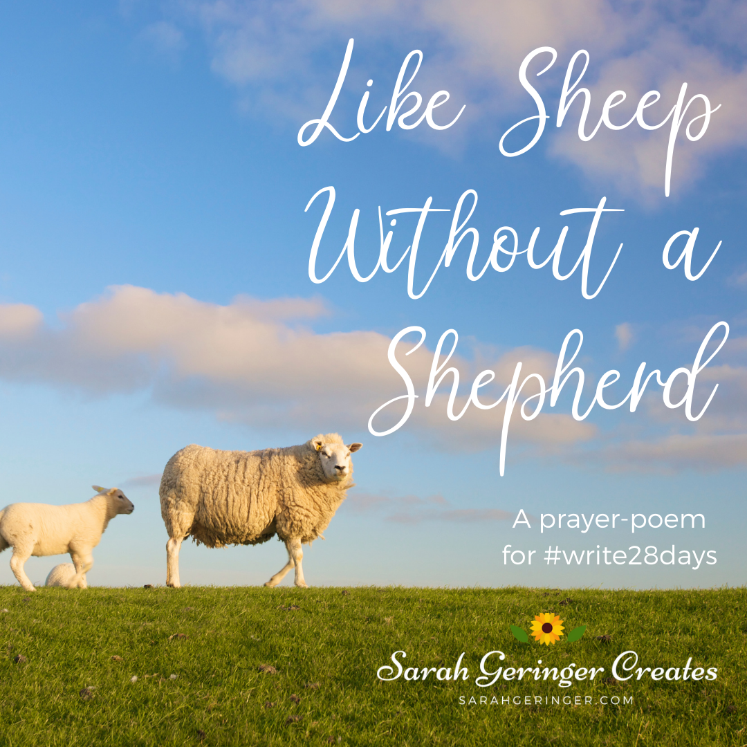 Like Sheep Without A Shepherd Sarah Geringer