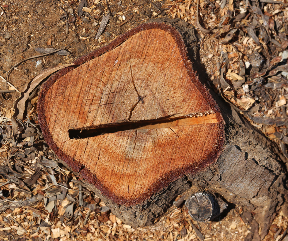 When Do You Cut Off a Relationship? - Sarah Geringer