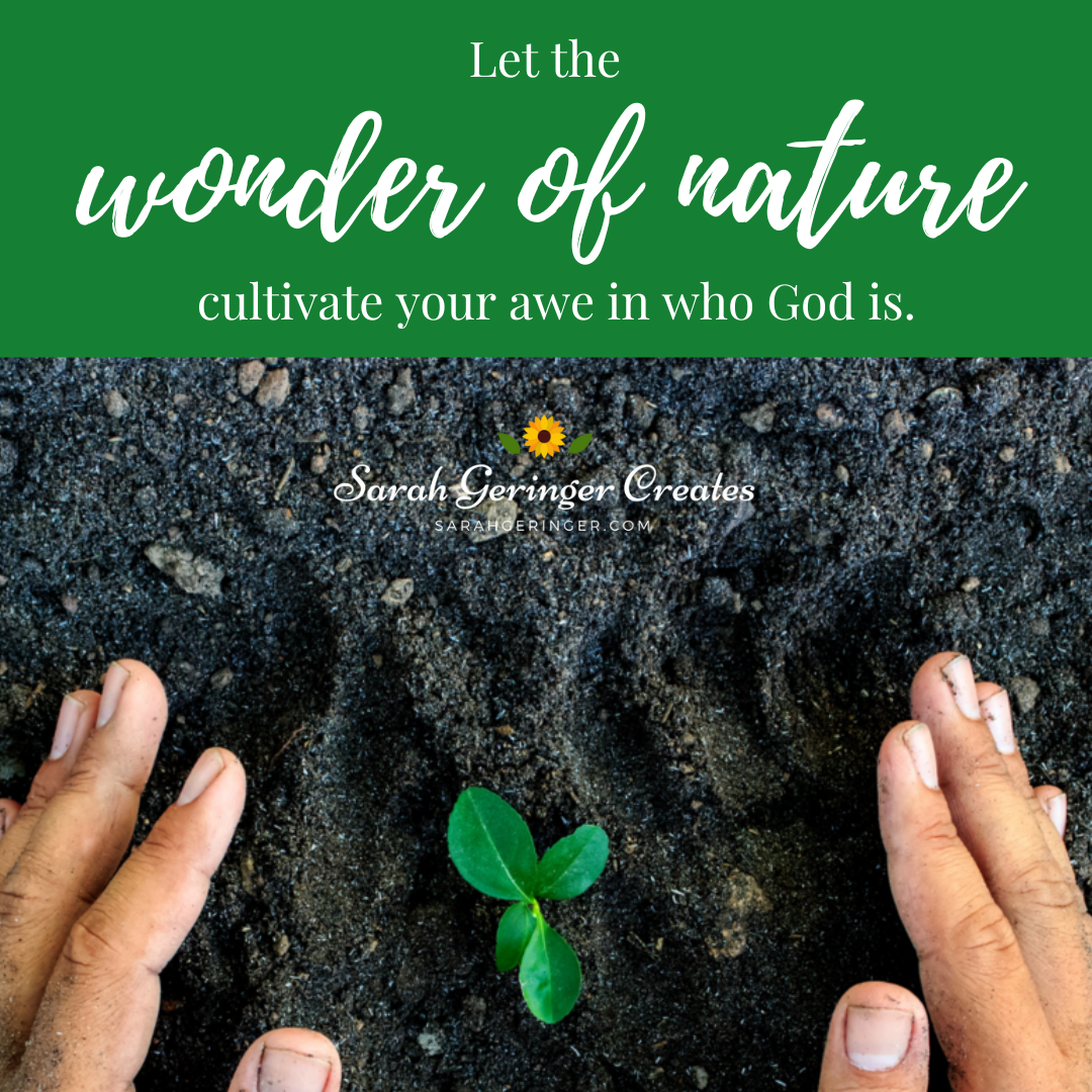 The Wonder of God's Hand in Nature - Sarah Geringer
